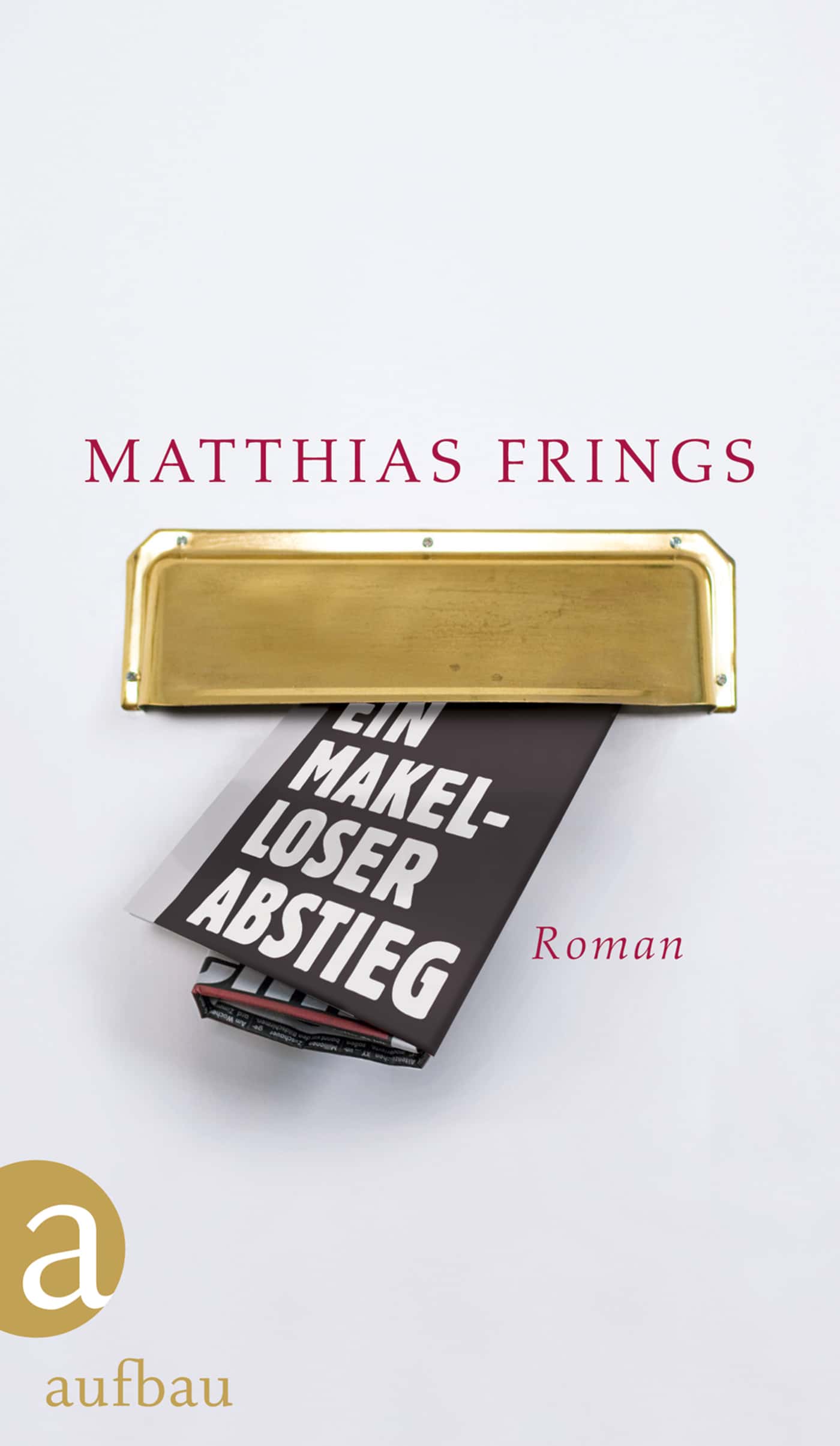 Ein makelloser Abstieg | Matthias Frings | Aufbau Digital