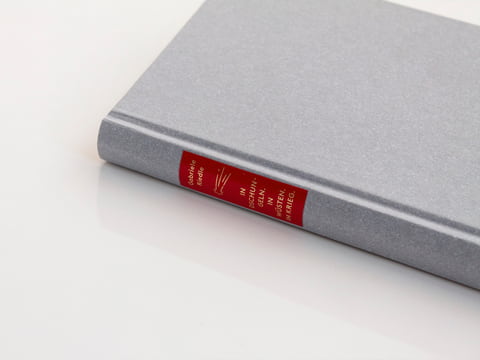 In Dschungeln. In Wüsten. Im Krieg. | Gabriele Riedle | Di