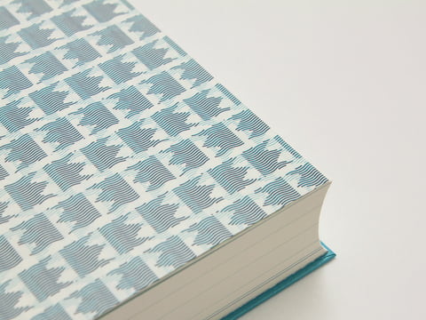 Die Irrfahrten von Persiles und Sigismunda | Miguel de Cerva